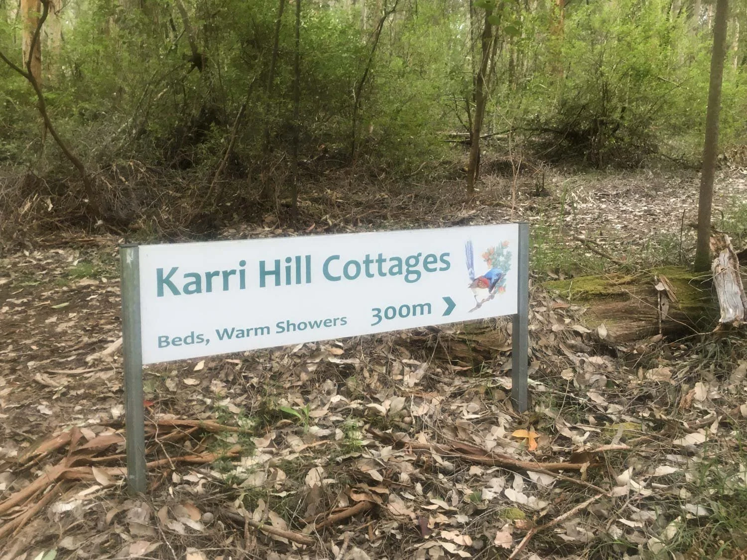 Day 46 Warren to Schafer — Slower Hiking