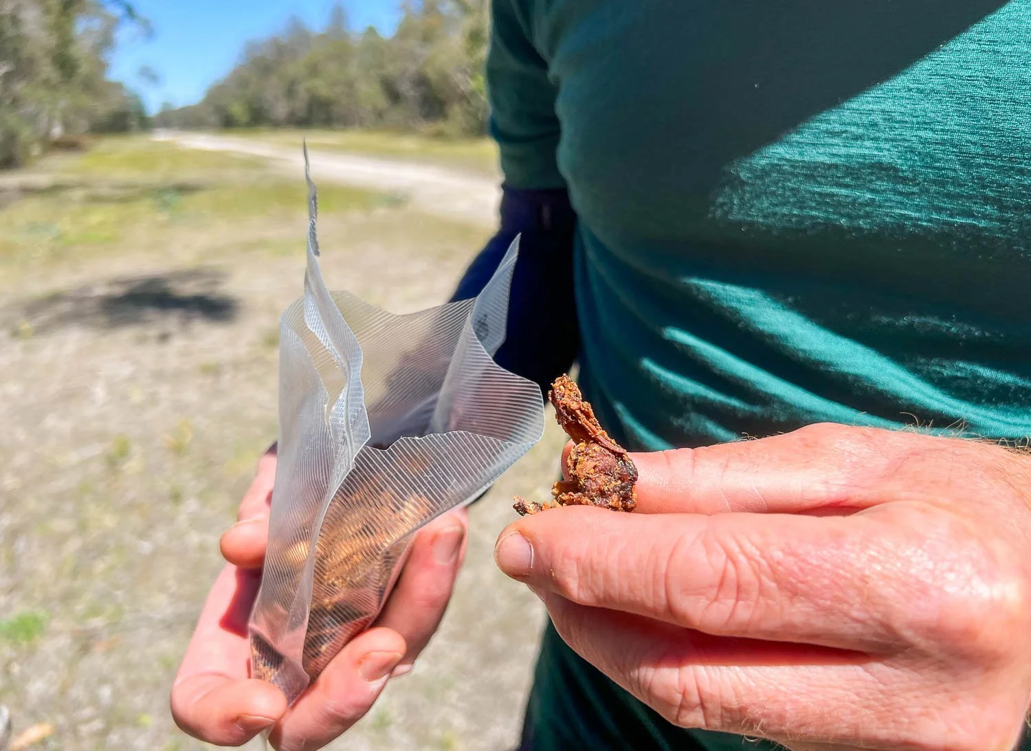 Dehydrated Pulled Pork for Backpacking — Slower Hiking