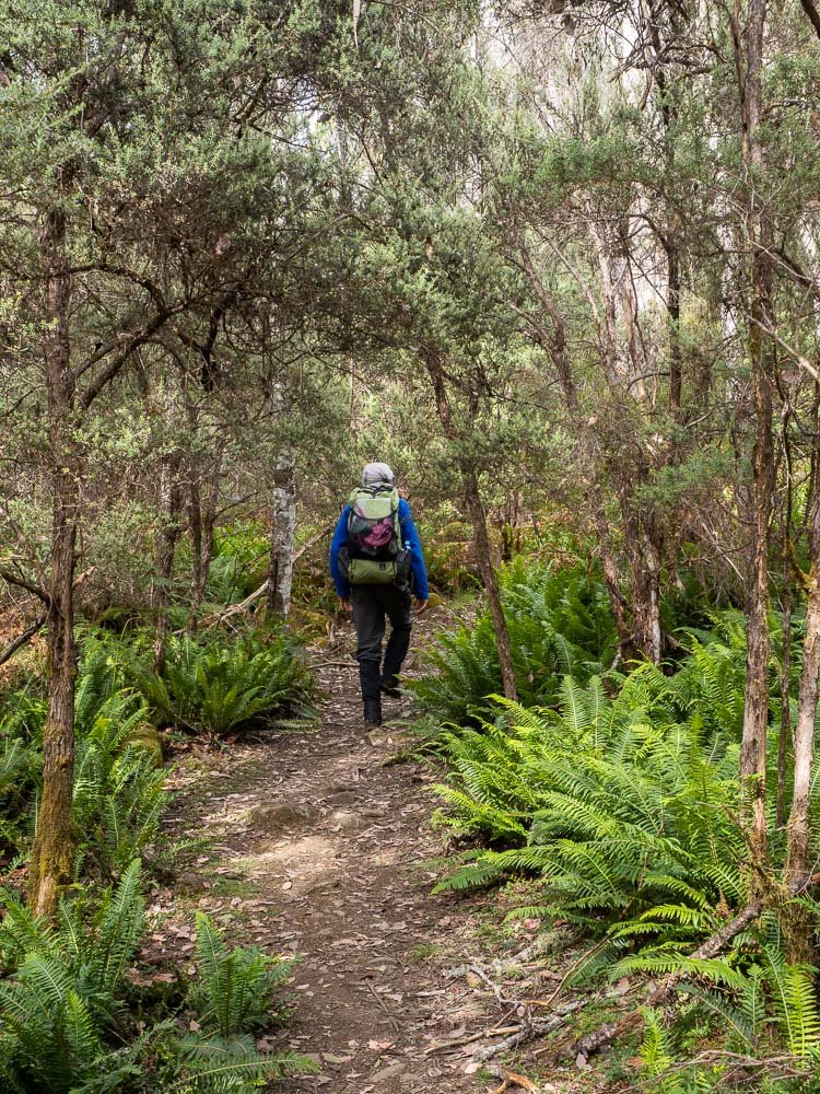 Day 11: Lewis & Oxley Waterfalls and Cake — Slower Hiking