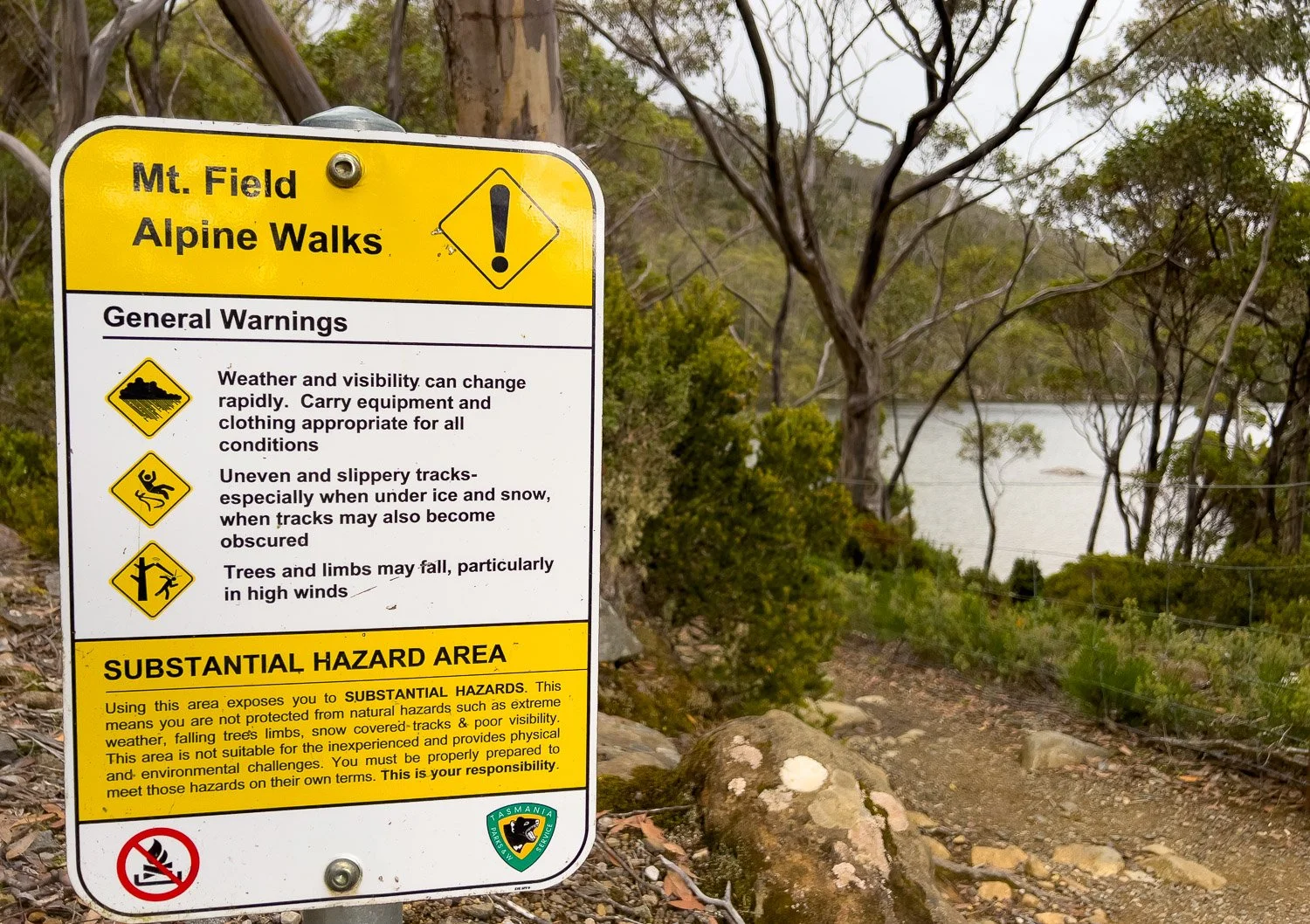 Mt Field West Circuit Hike — Slower Hiking