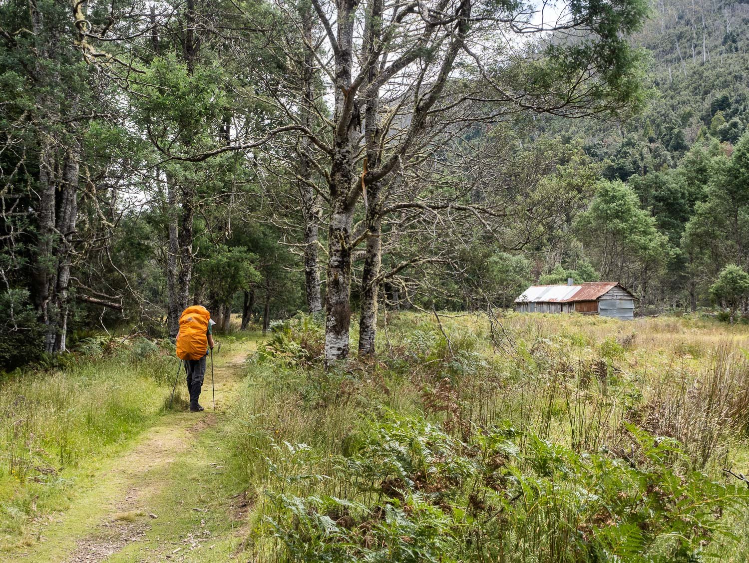 Day 10: Pine Hut Plain — Slower Hiking