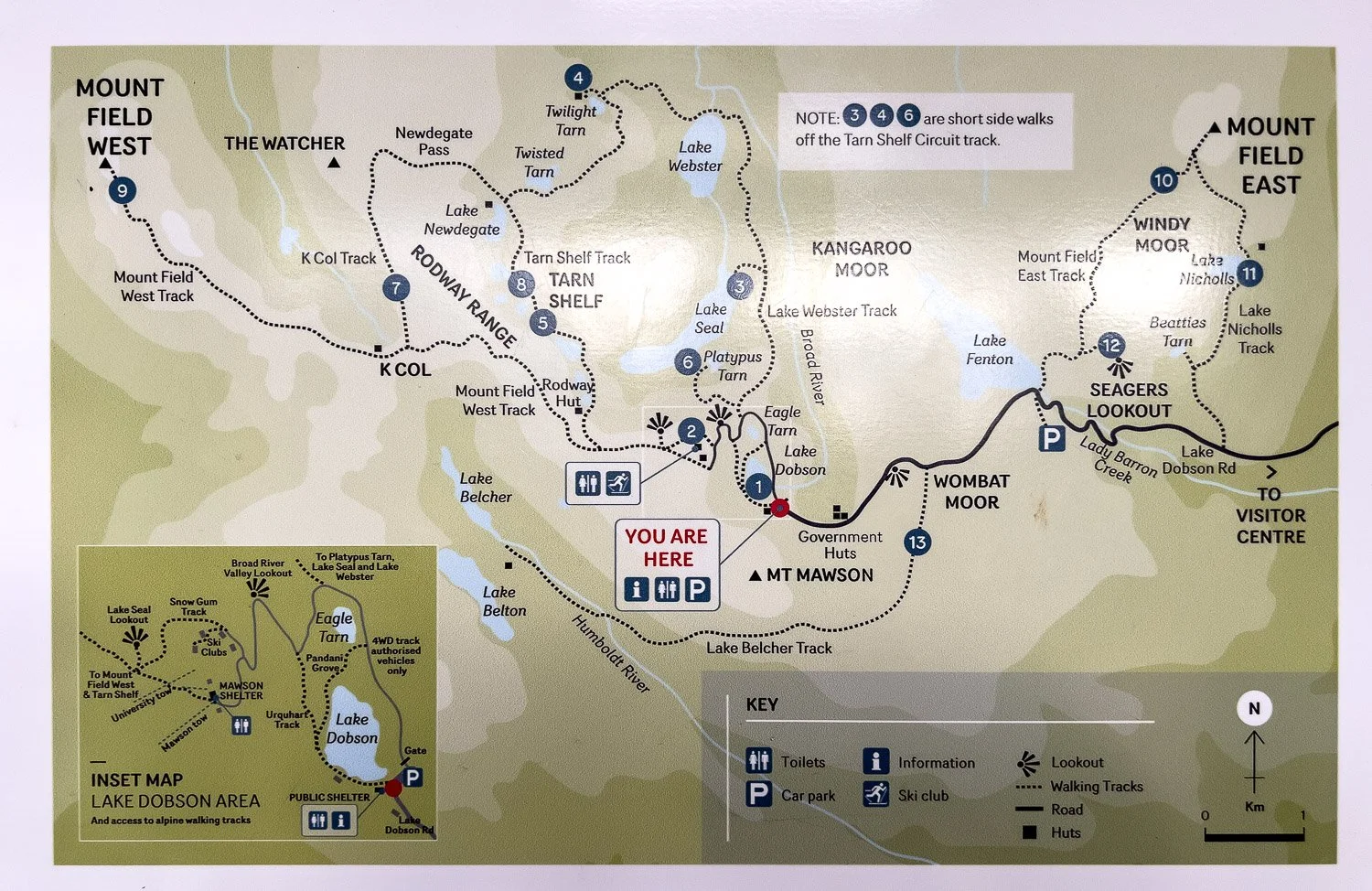 Mt Field West Circuit Hike — Slower Hiking