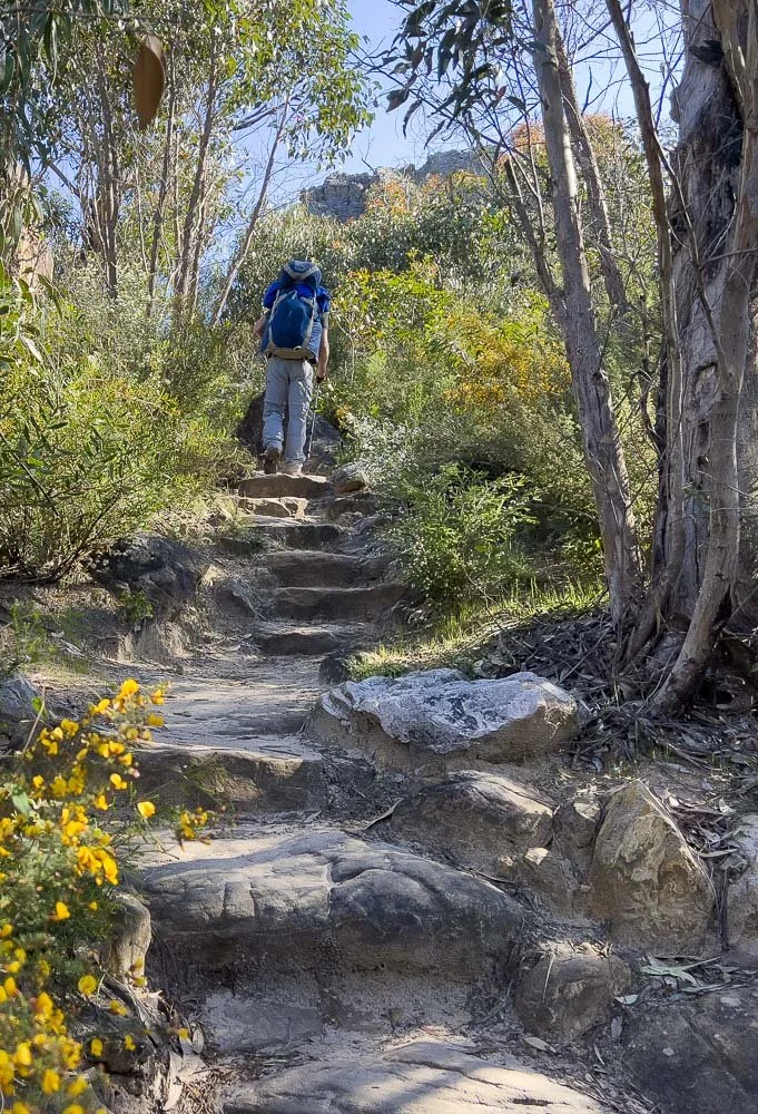 Mount Zero Trail Head to Barigar — Slower Hiking