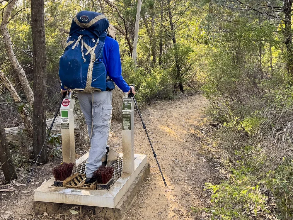 Mount Zero Trail Head to Barigar — Slower Hiking