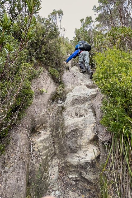 Frenchman’s Cap Trail Planning and Tips — Slower Hiking