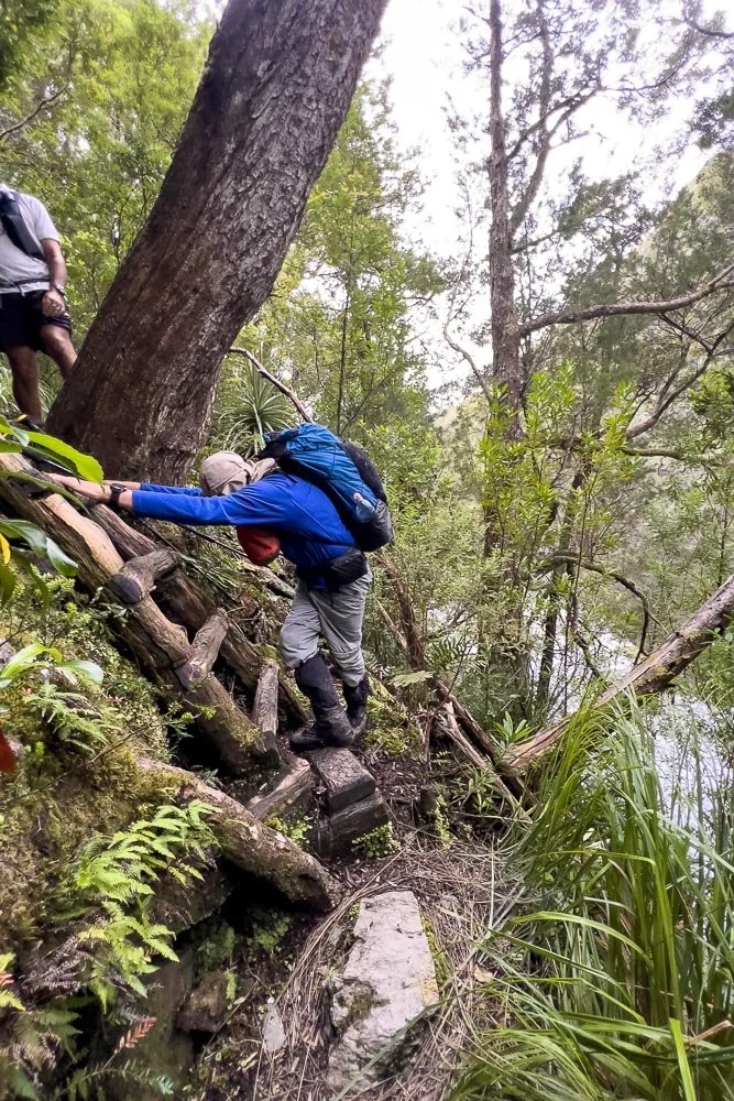Frenchman’s Cap Trail Planning and Tips — Slower Hiking