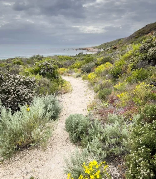 Mamang Trail Day 1 - Point Ann to Fitzgerald Inlet — Slower Hiking