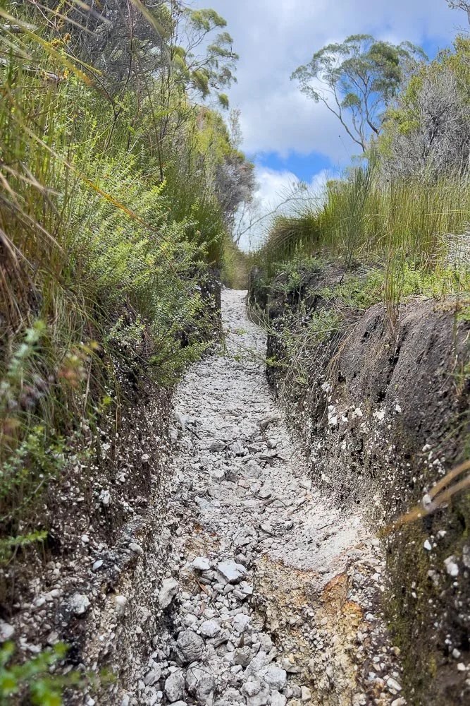 Frenchman’s Cap Trail Planning and Tips — Slower Hiking