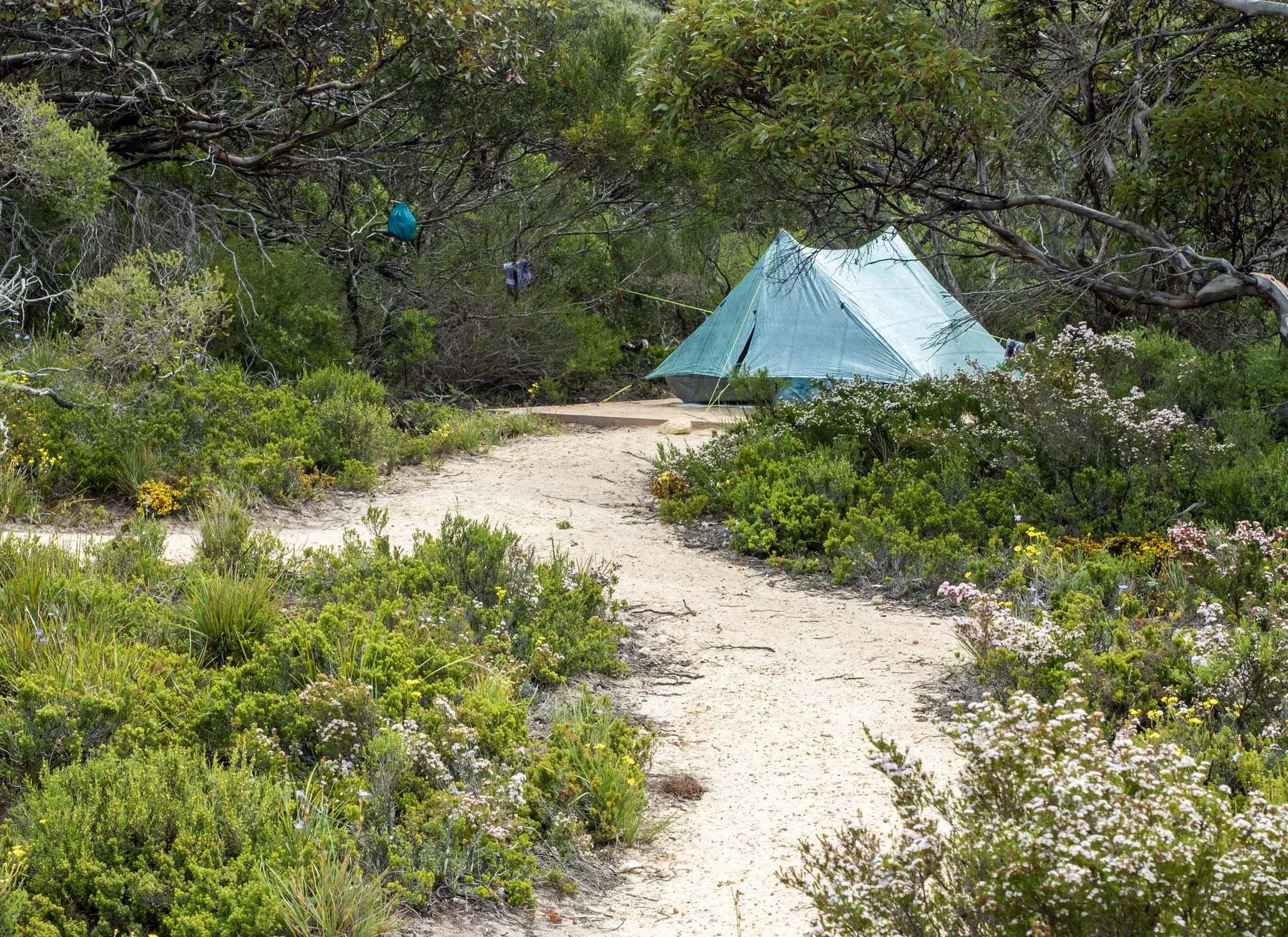 How to Stake and Guy Your Tent: Snow, Rock, Sand, Platforms and More ...
