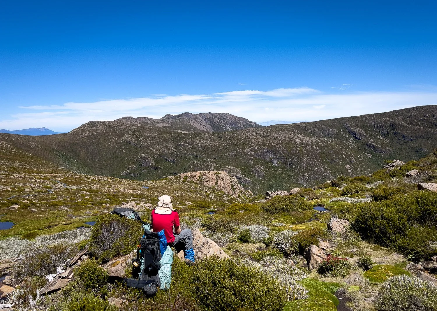 Mt Field West Circuit Hike — Slower Hiking
