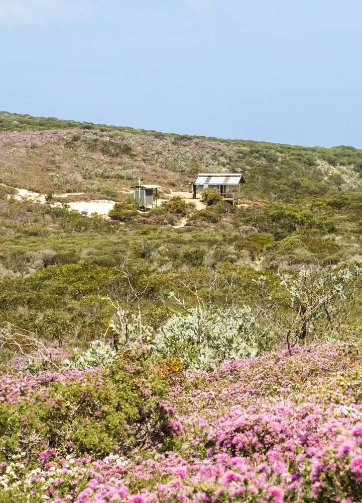 Hakea Trail - Whalebone Beach Hut to Quoin Head — Slower Hiking