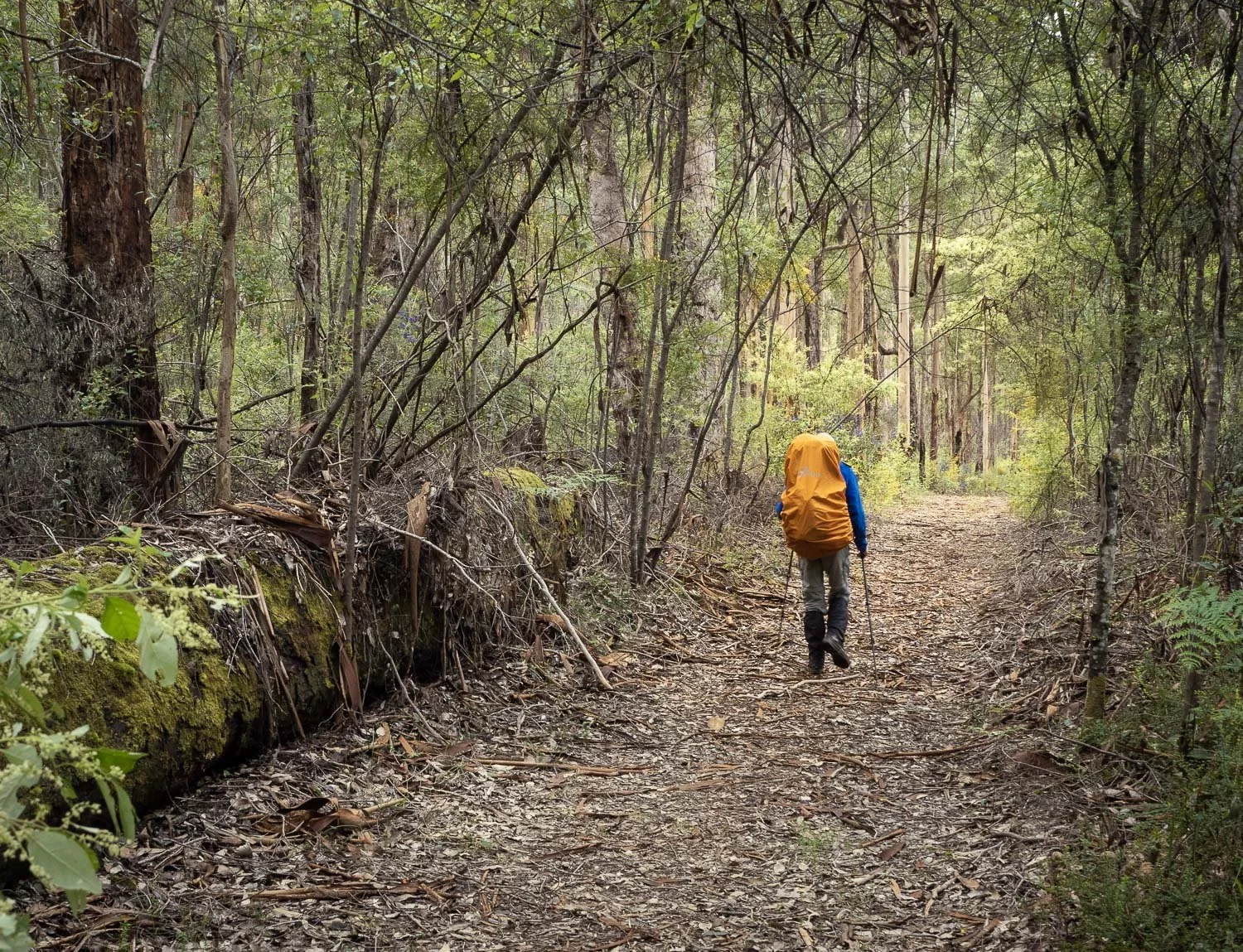 Days 37 and 38: Tom Road to Boarding House — Slower Hiking