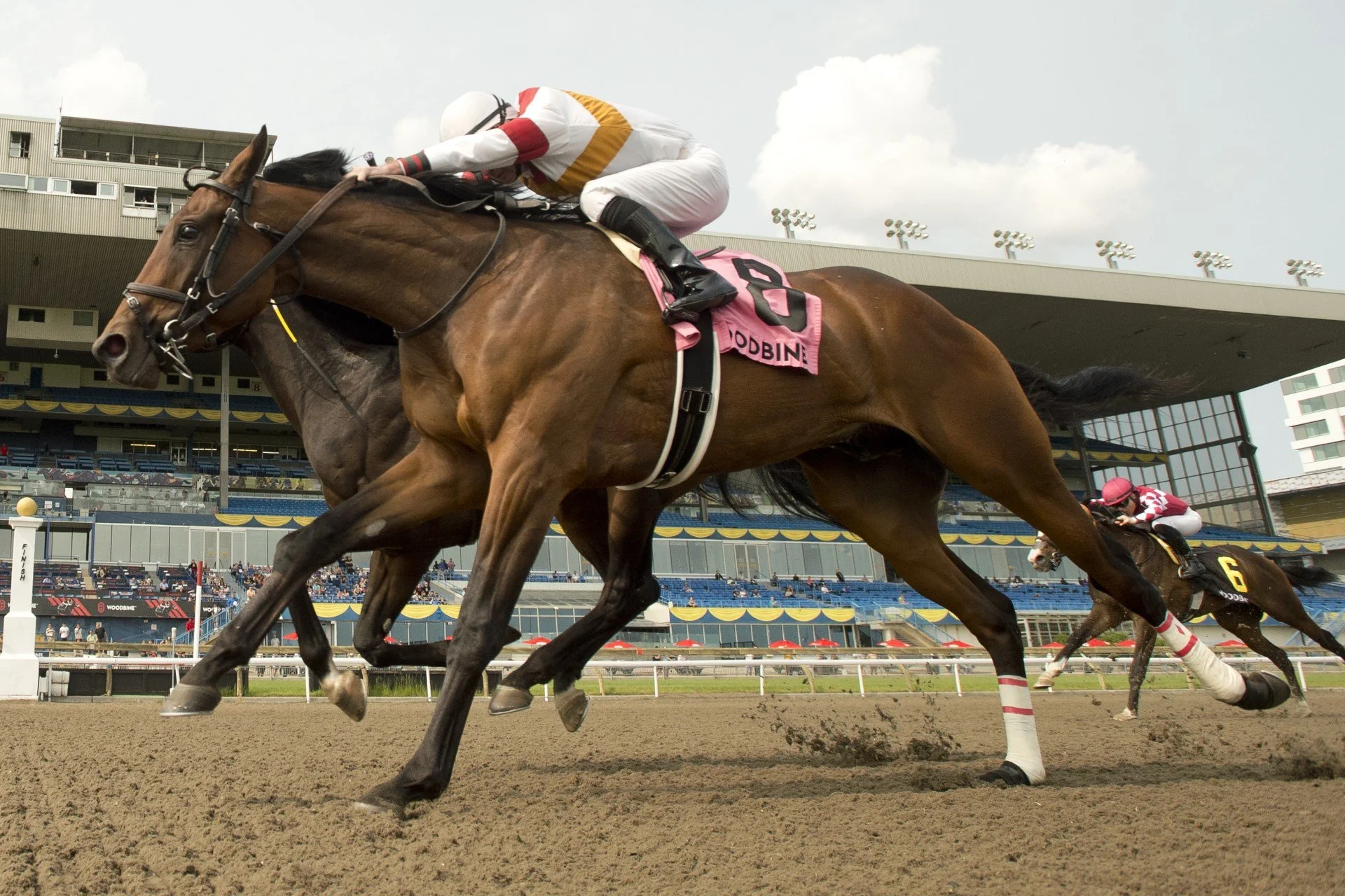 Canadian Thoroughbred Horse Society (Ontario Division)