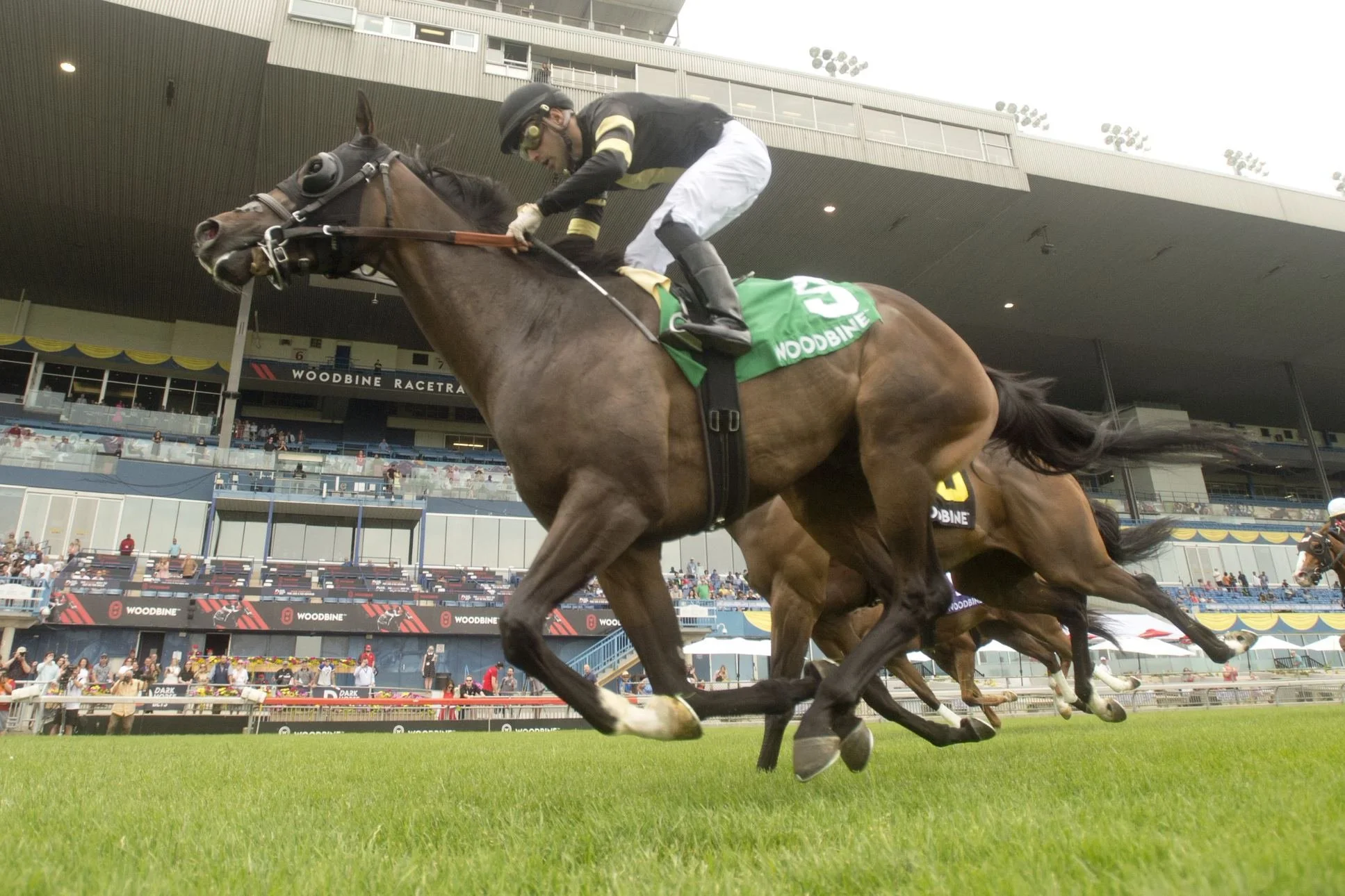 Canadian Thoroughbred Horse Society (Ontario Division)