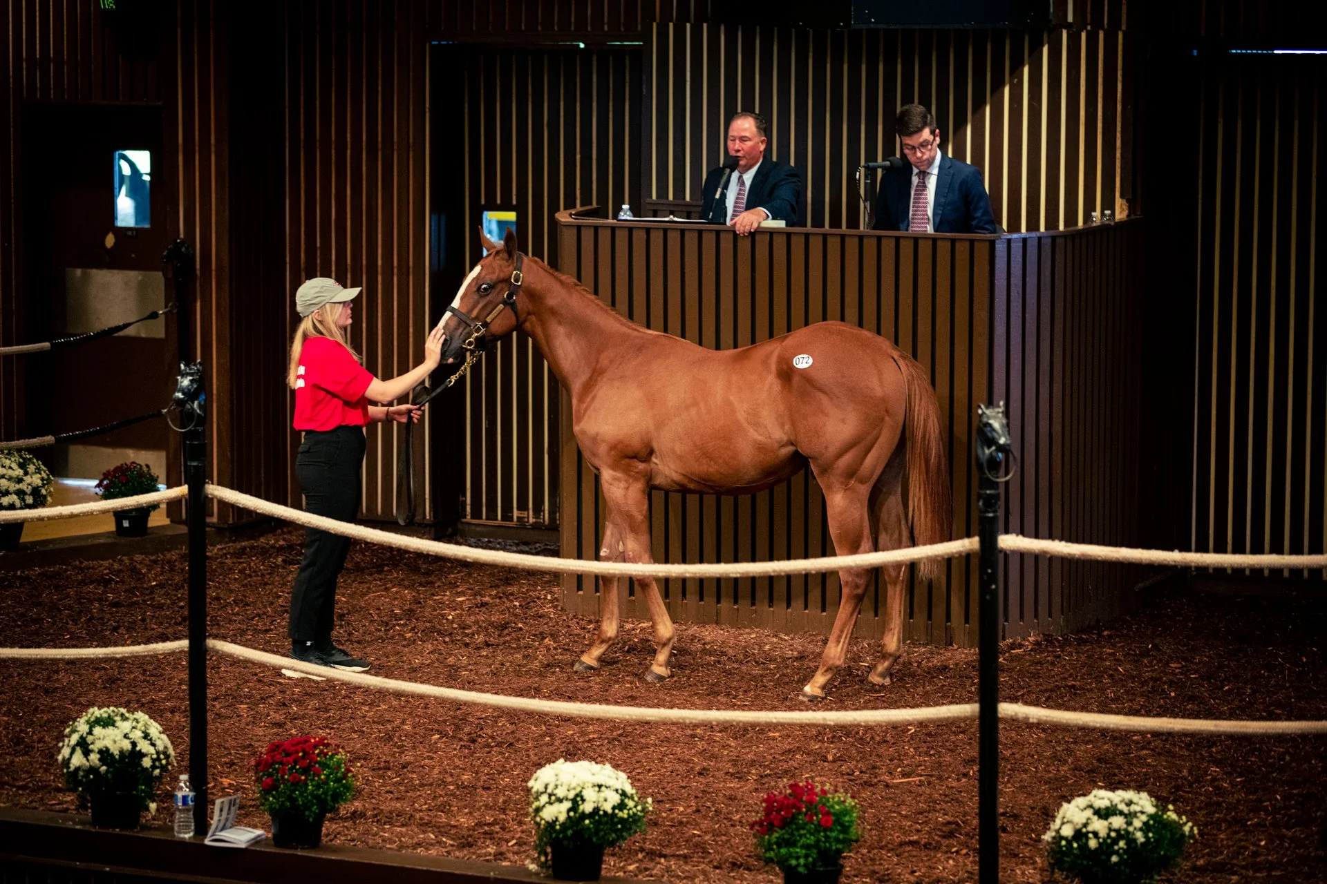 Canadian Thoroughbred Horse Society (Ontario Division)