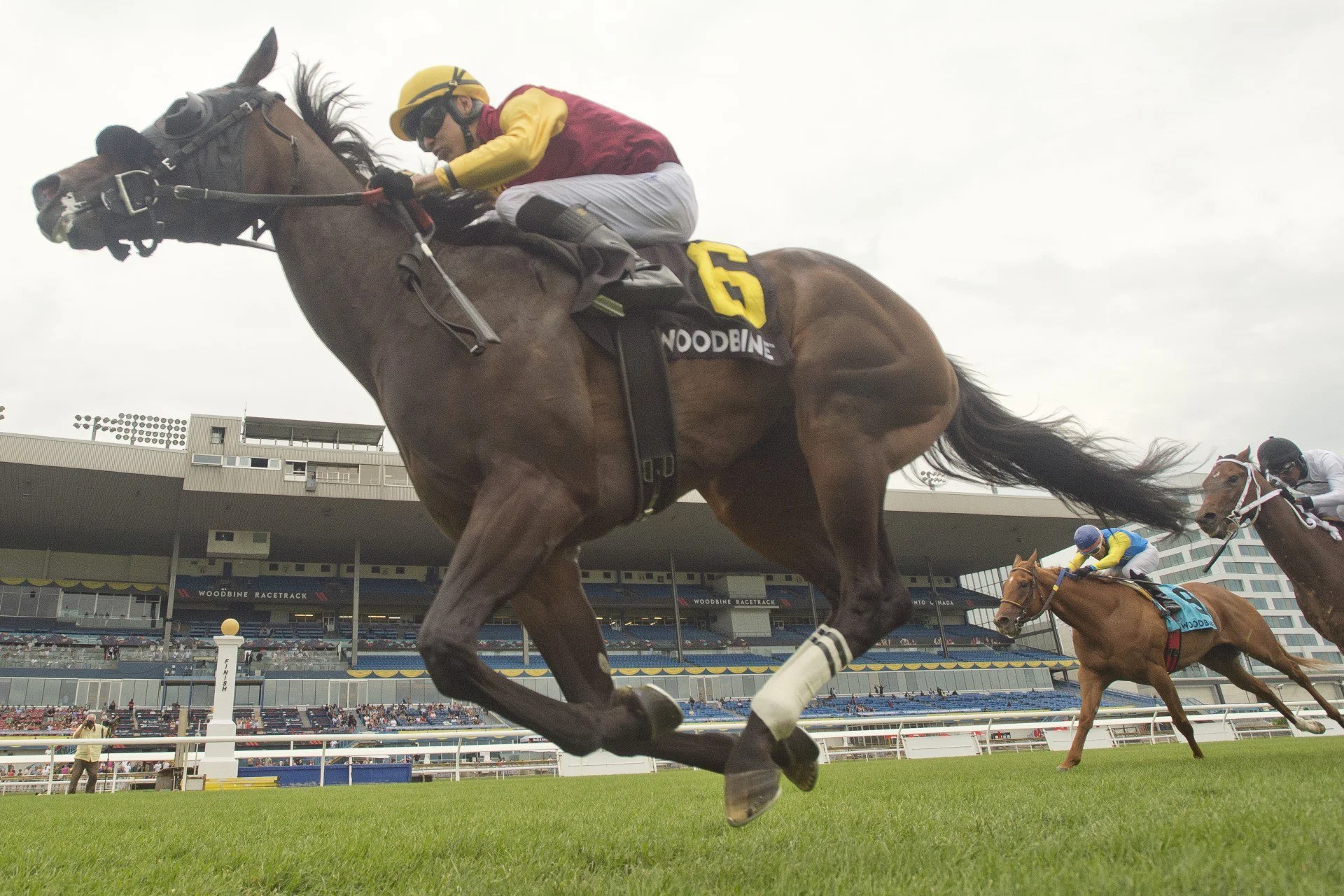 Canadian Thoroughbred Horse Society (Ontario Division)