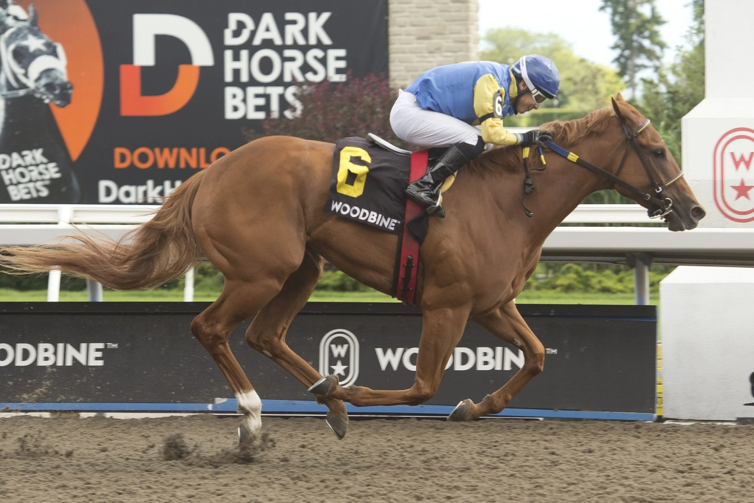 Canadian Thoroughbred Horse Society (Ontario Division)