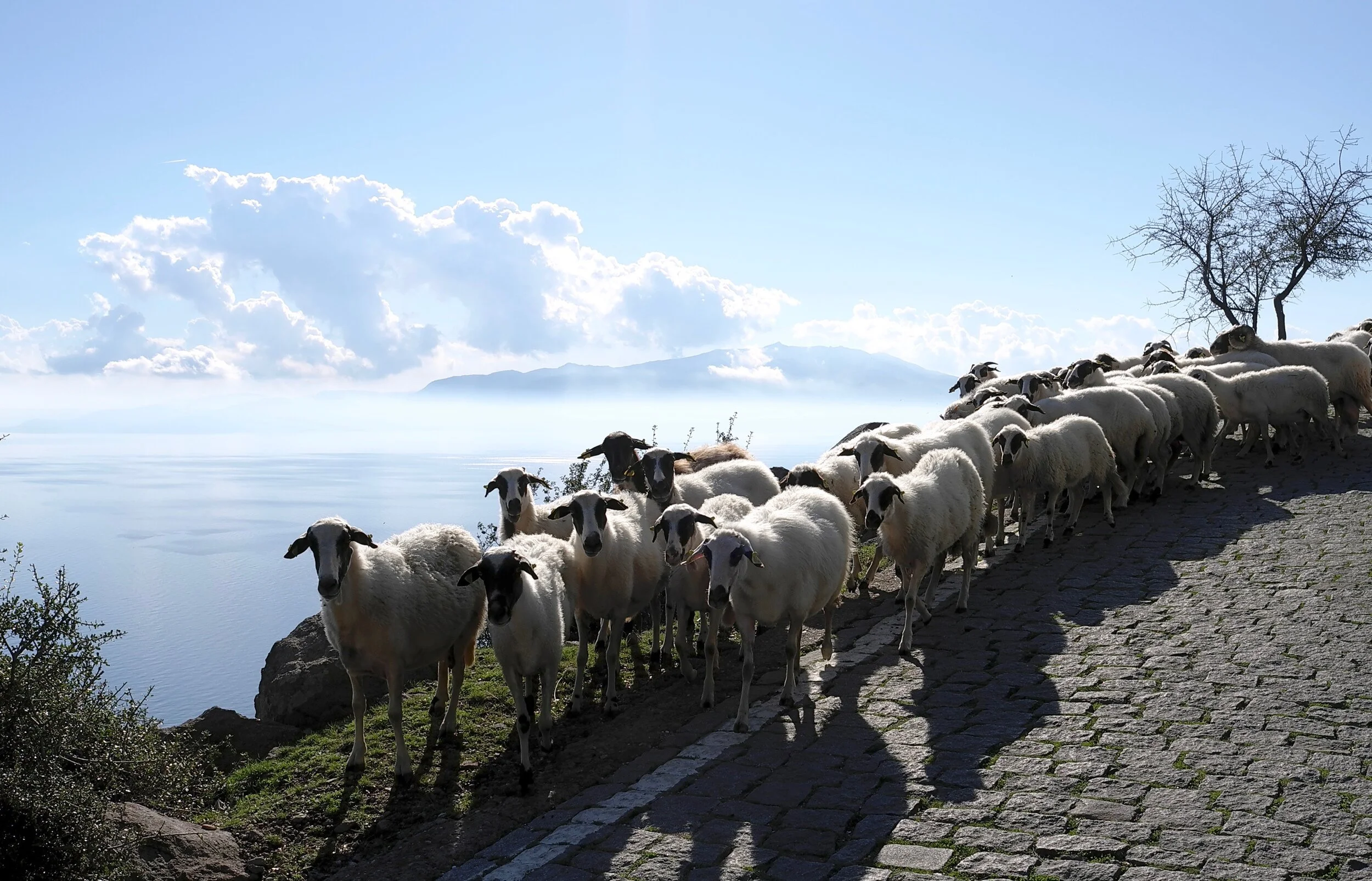 Assos — Classical sites in Turkey