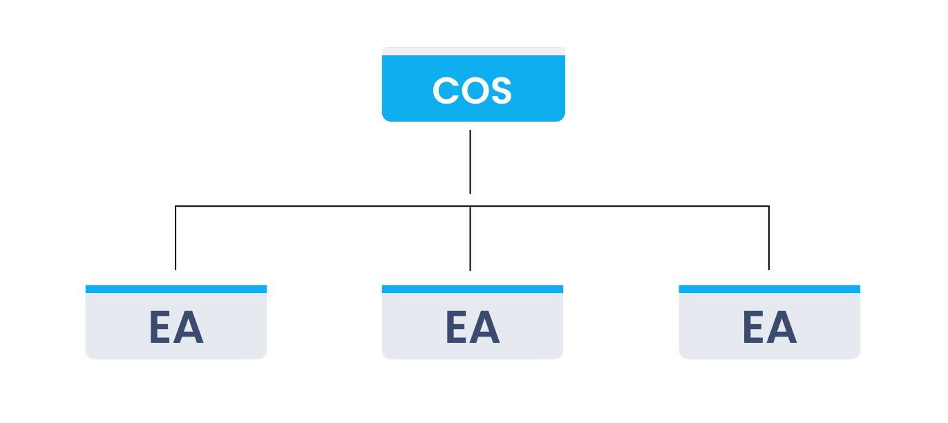 Chief of Staff Organizational Chart: Role Essentials — Next Level Coaching