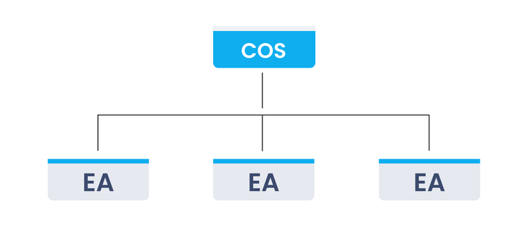 Chief of Staff Organizational Chart: Role Essentials — Next Level Coaching
