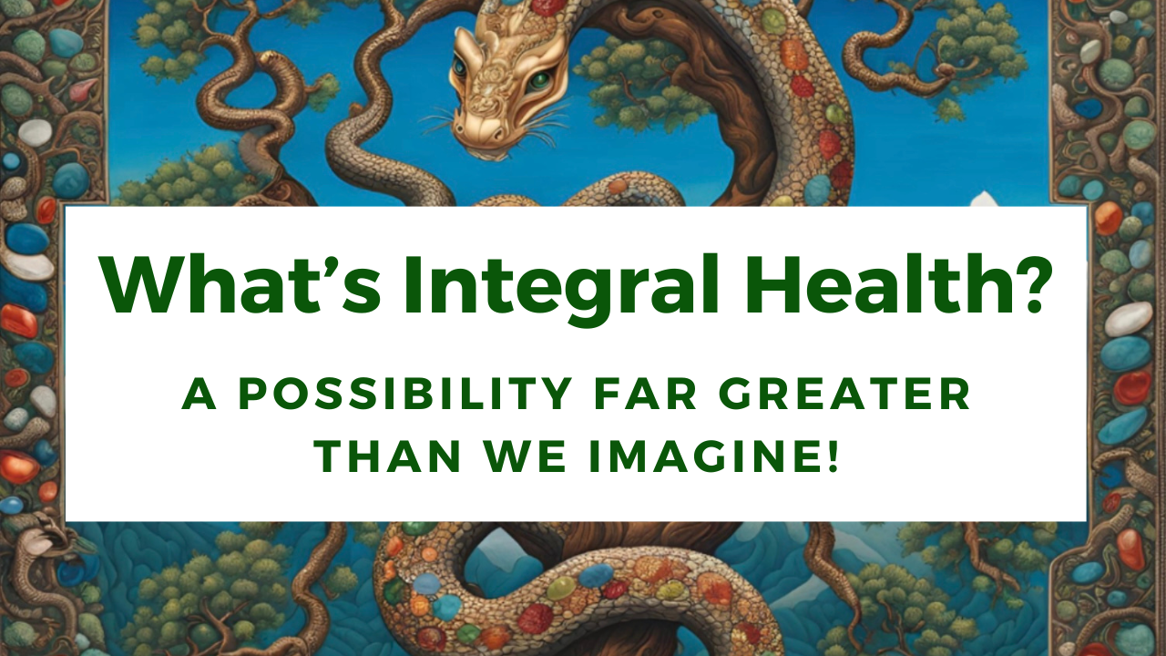 Fritz Hendrik | What’s Integral Health?