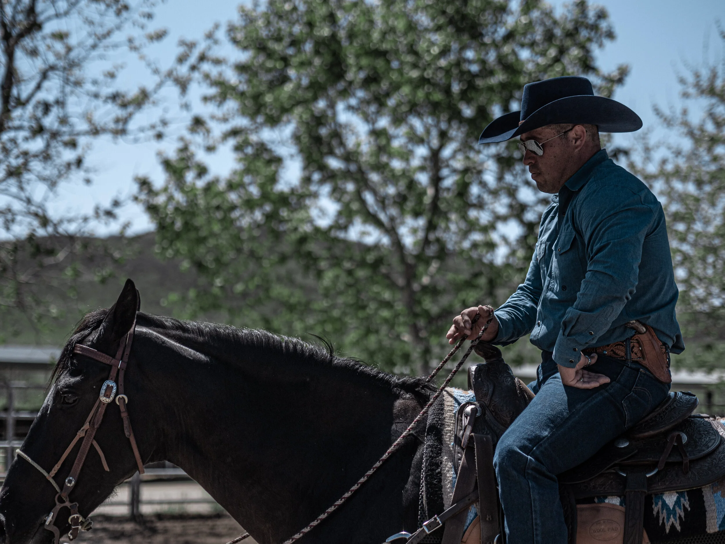 Romo Performance Horses