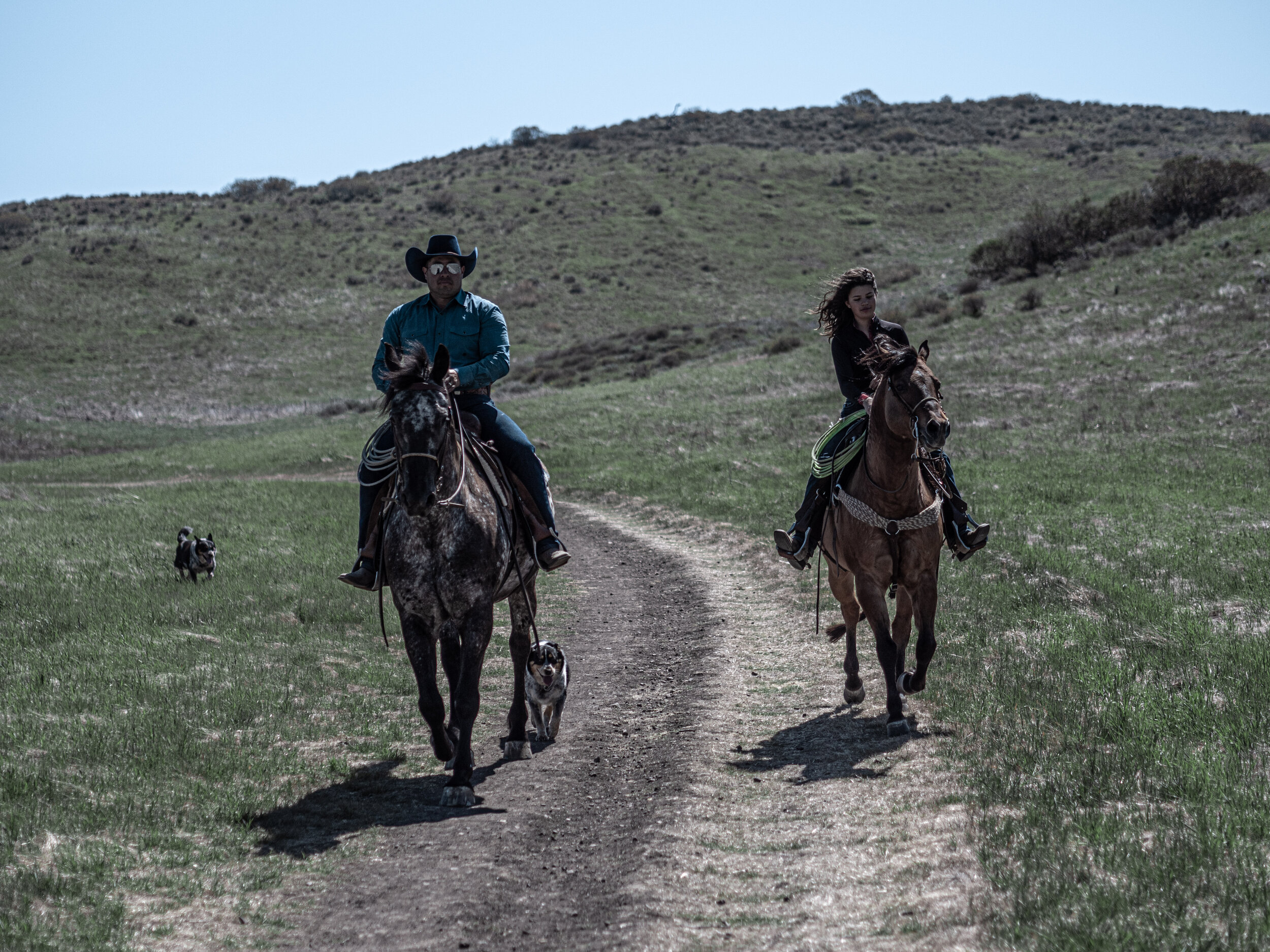 Training — Romo Performance Horses