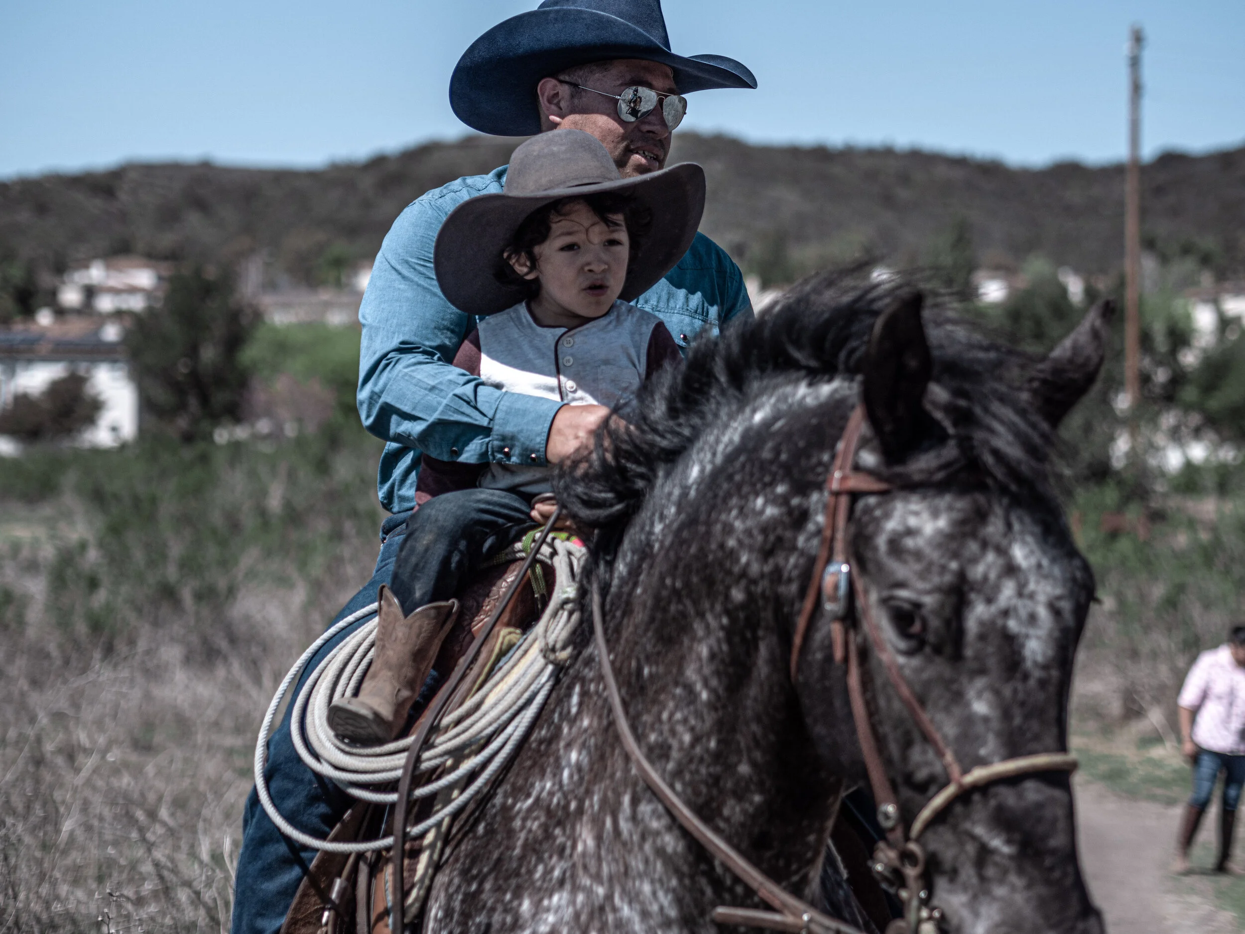 Romo Performance Horses