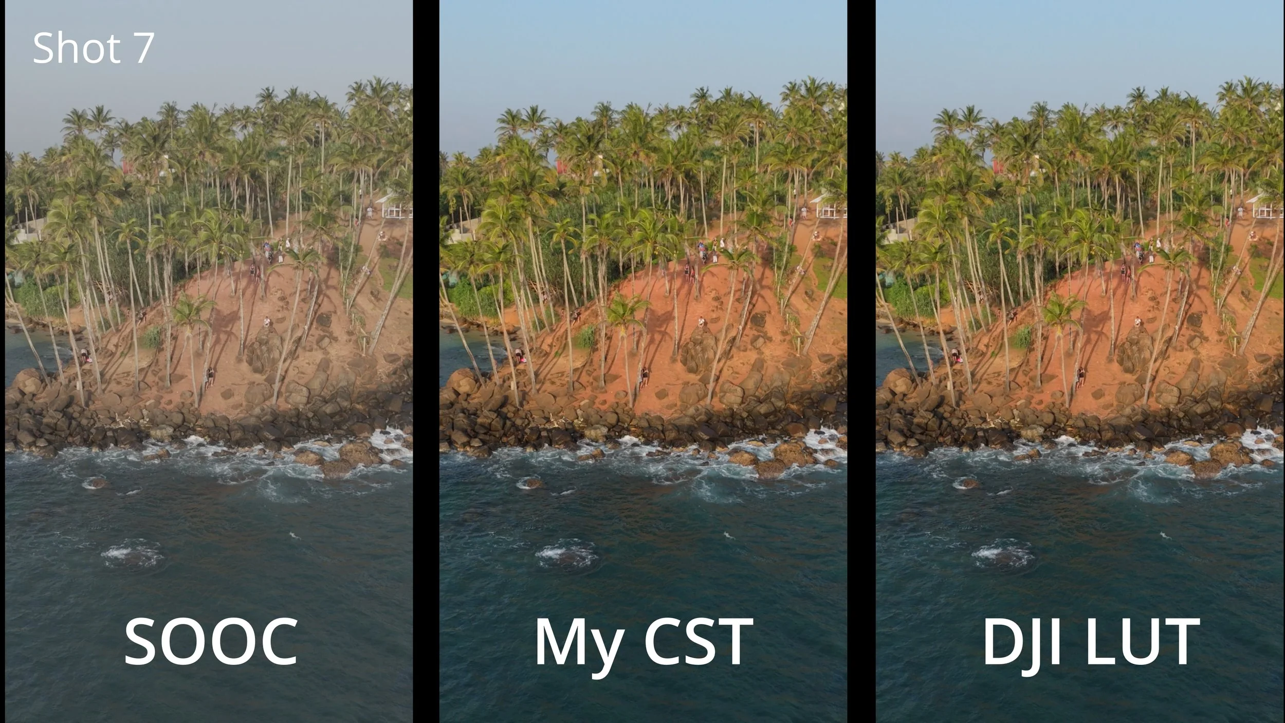 DJI D-Log-M Color Grading — Zeb Gardner
