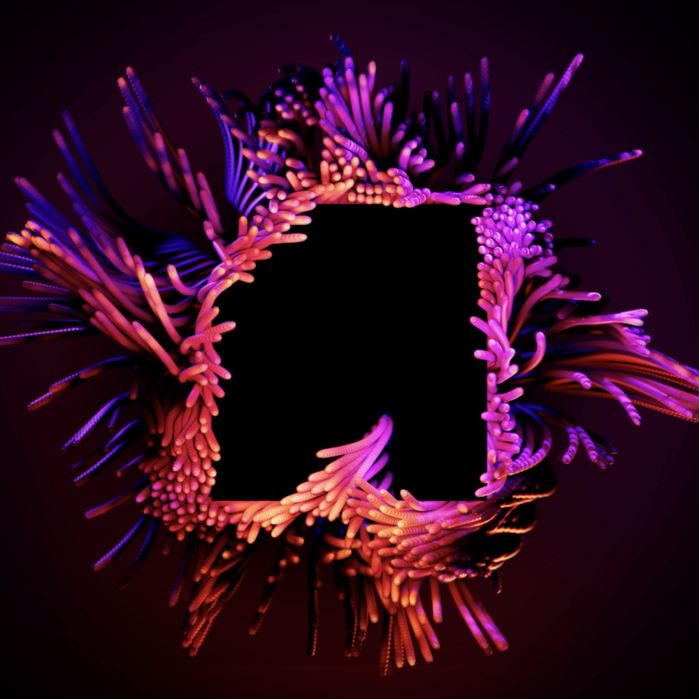 Jeroen Disch – Art-direction & design