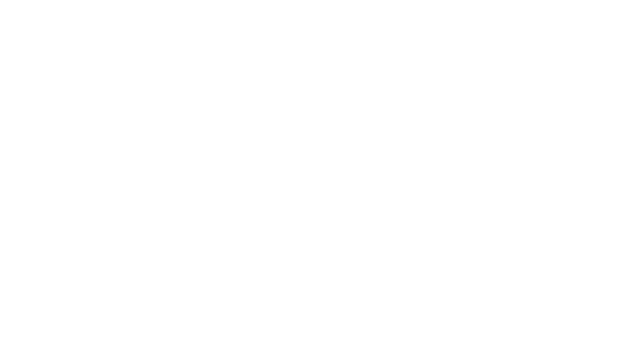 Fairmark Partners, LLP