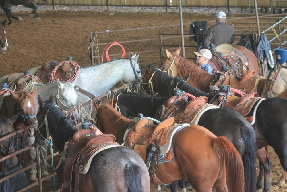 Donate or Sponsor — Wide Open No Fear