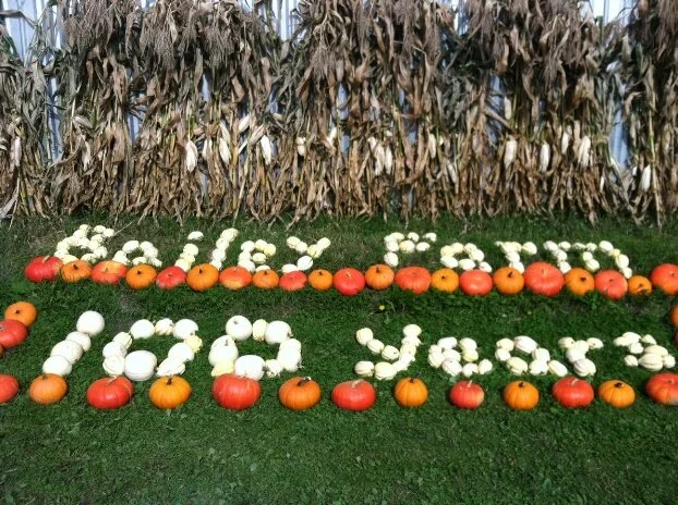 Bailey Compost