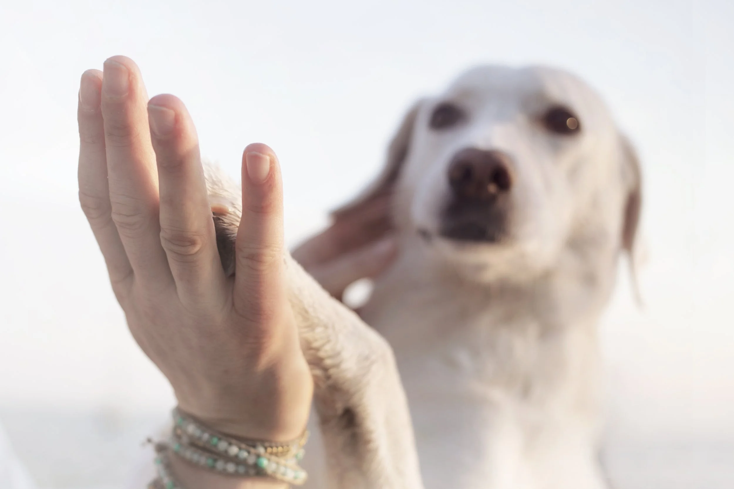 What is Quantum Touch? | Energy Flow Healing