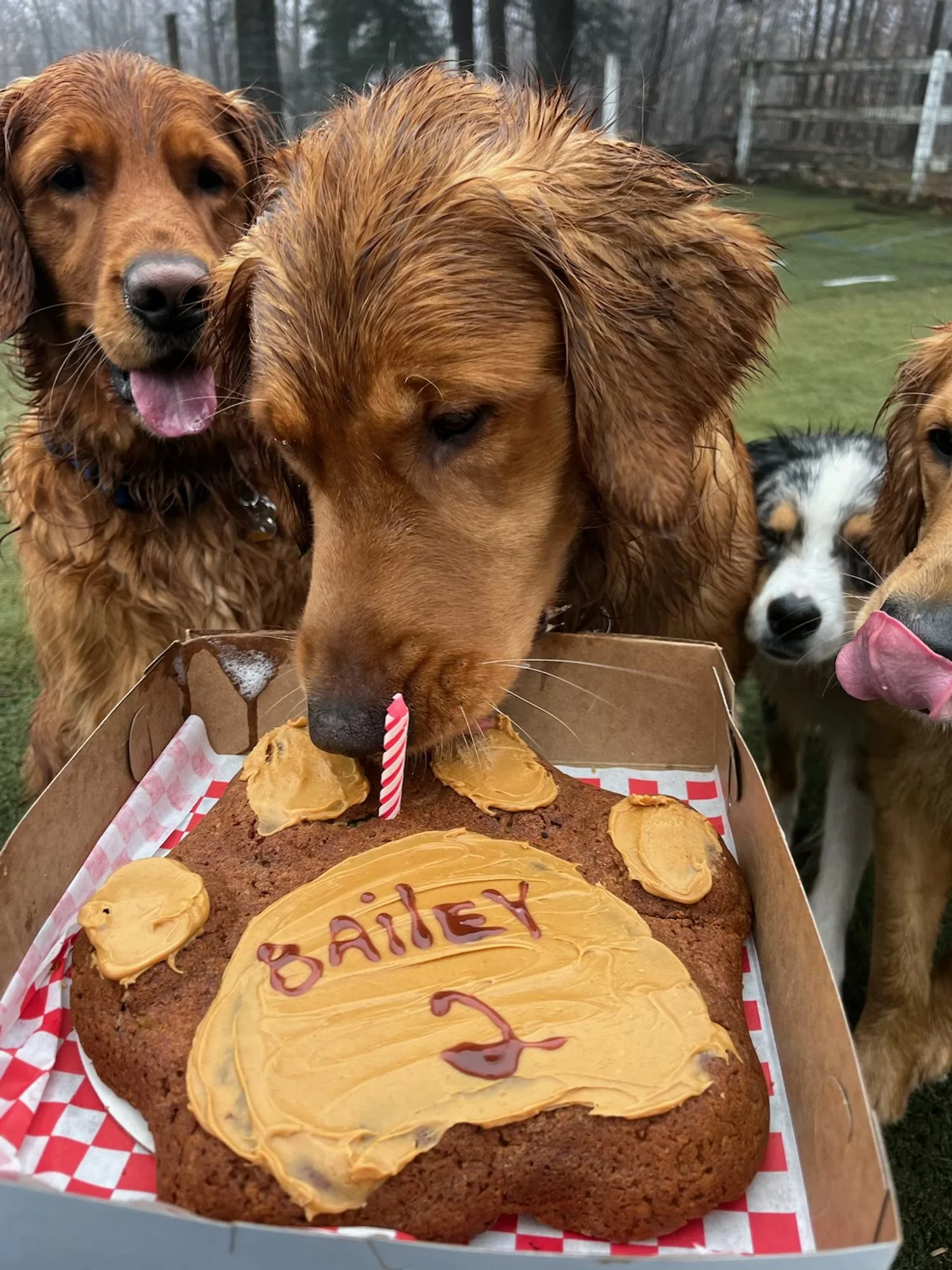 Gallery 1 — McGoldens, LLC