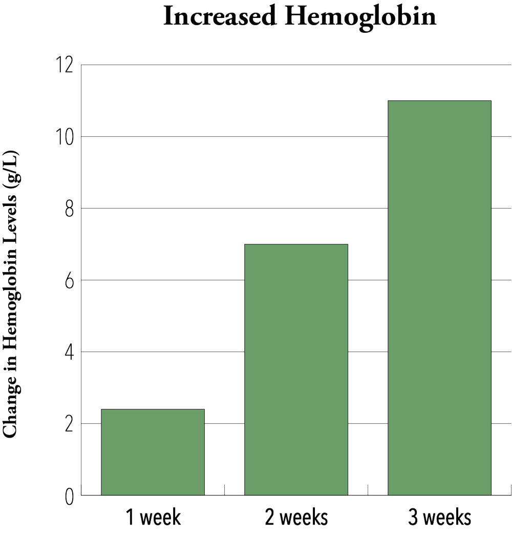 Buy EPO-Equine | Natural Blood Builder | The Trainers Locker NZ & AU ...