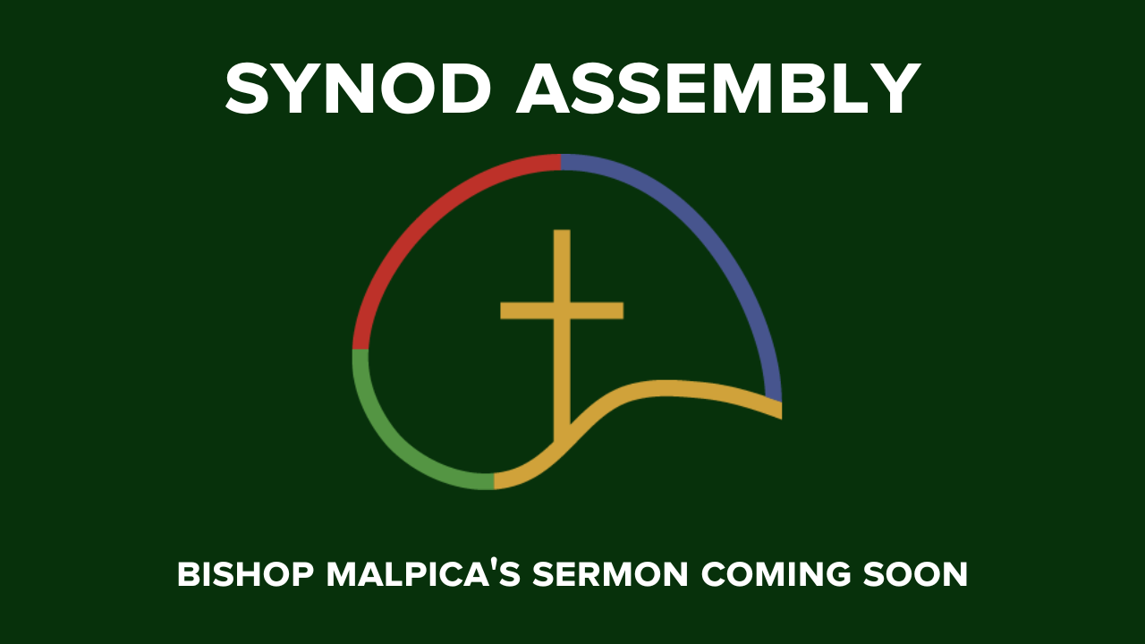 Synod Assembly Voting Member Information — La Crosse Area Synod - ELCA