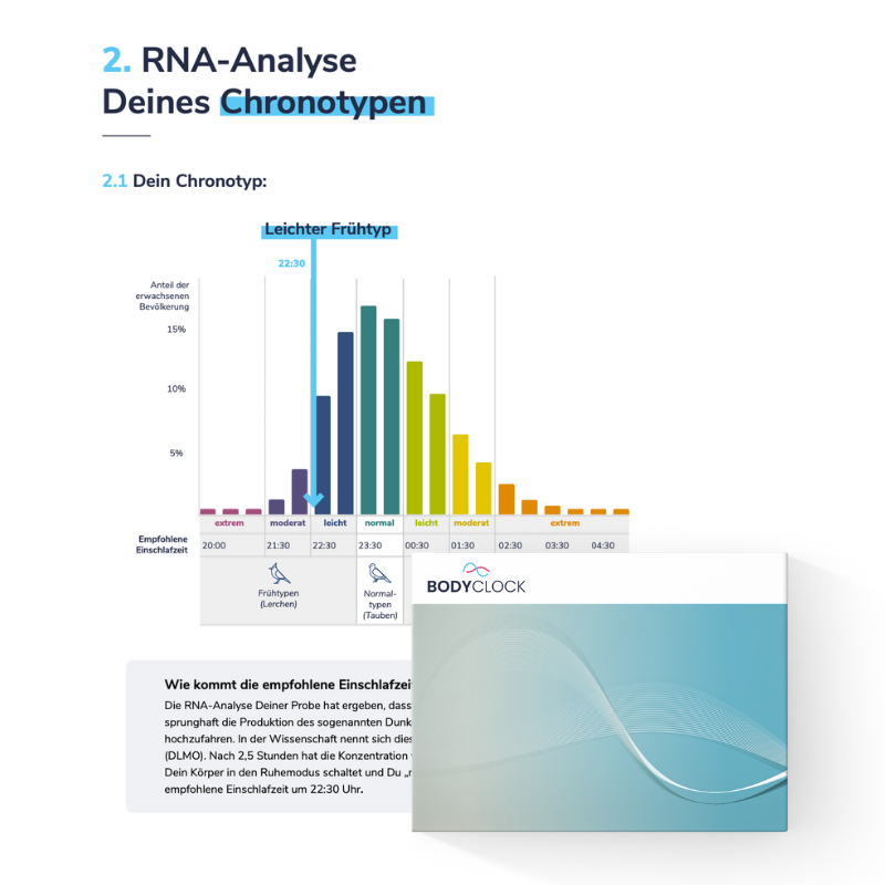 Welcher Chronotyp bist Du – Eule, Lerche oder Taube | BodyClock — BodyClock