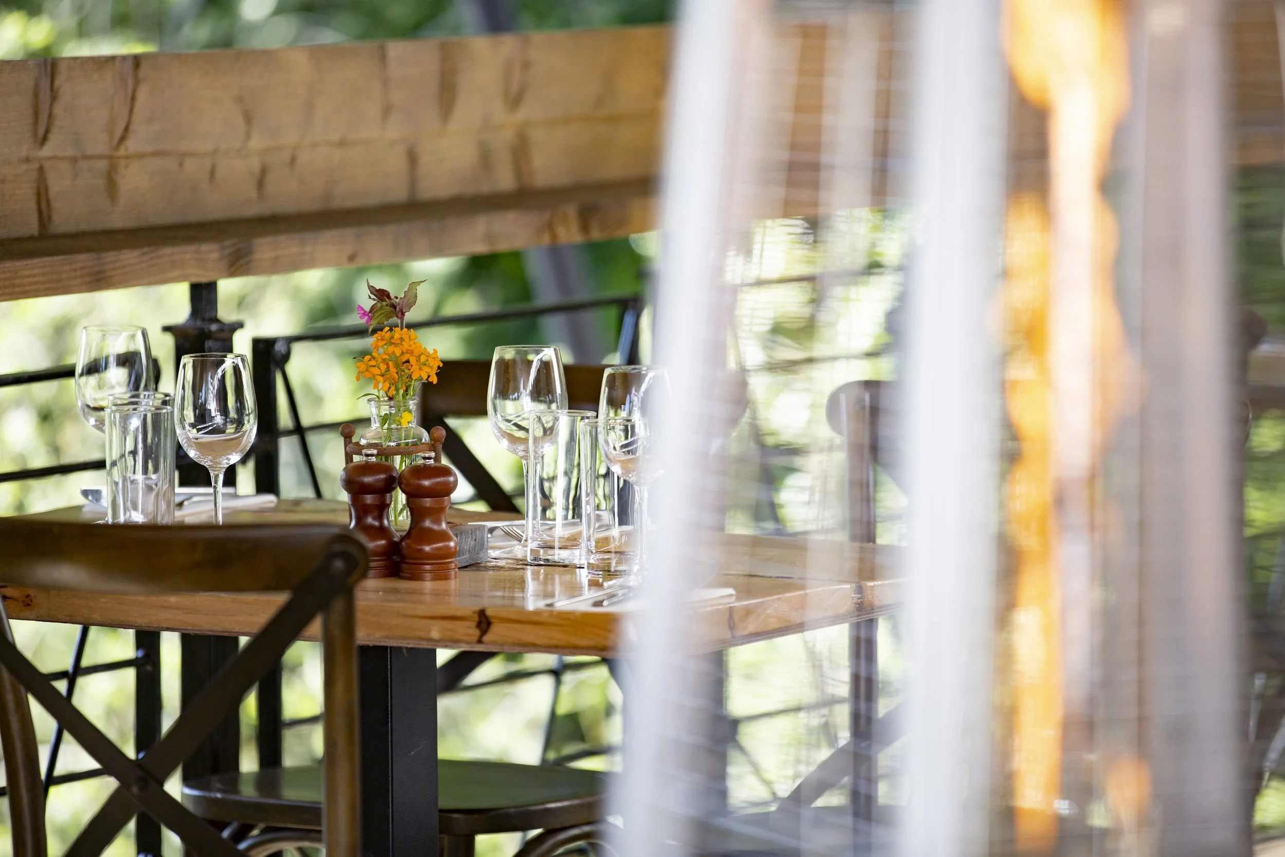 Poulaphouca House & Falls