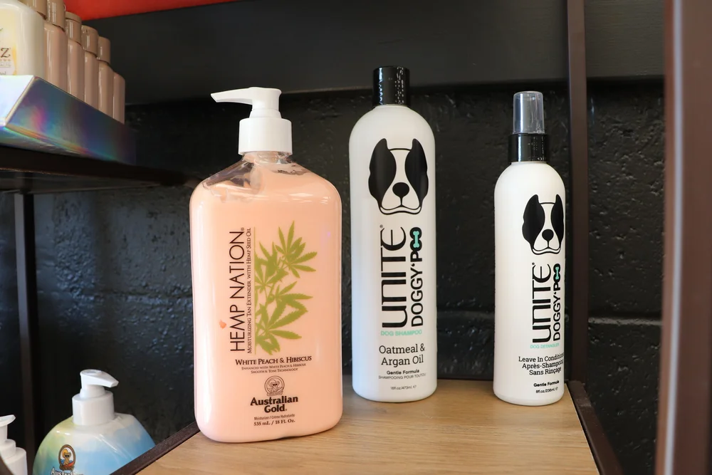 Raceway Barber Salmon Arm