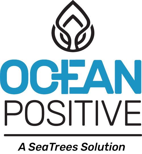 Our Programs — Sustainable Surf
