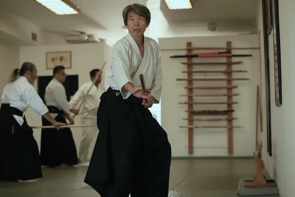 Classes — SEISHINJUKU DOJO