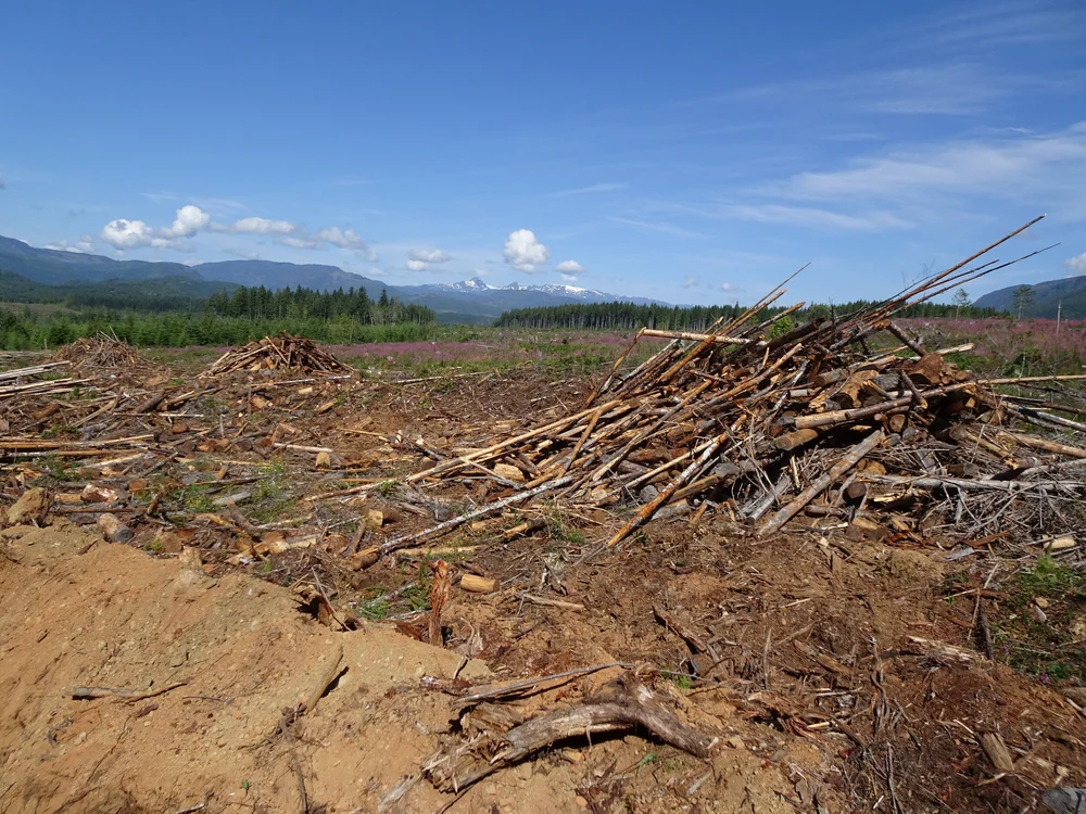 Work — The Great Land Grab