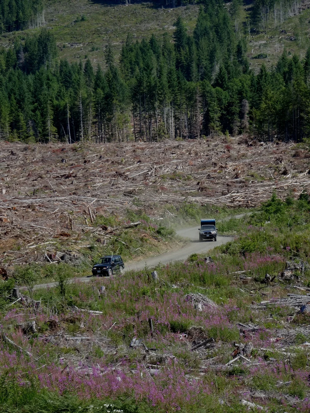 Resources — The Great Land Grab