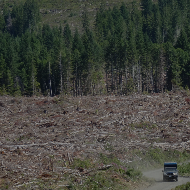 The Great Land Grab