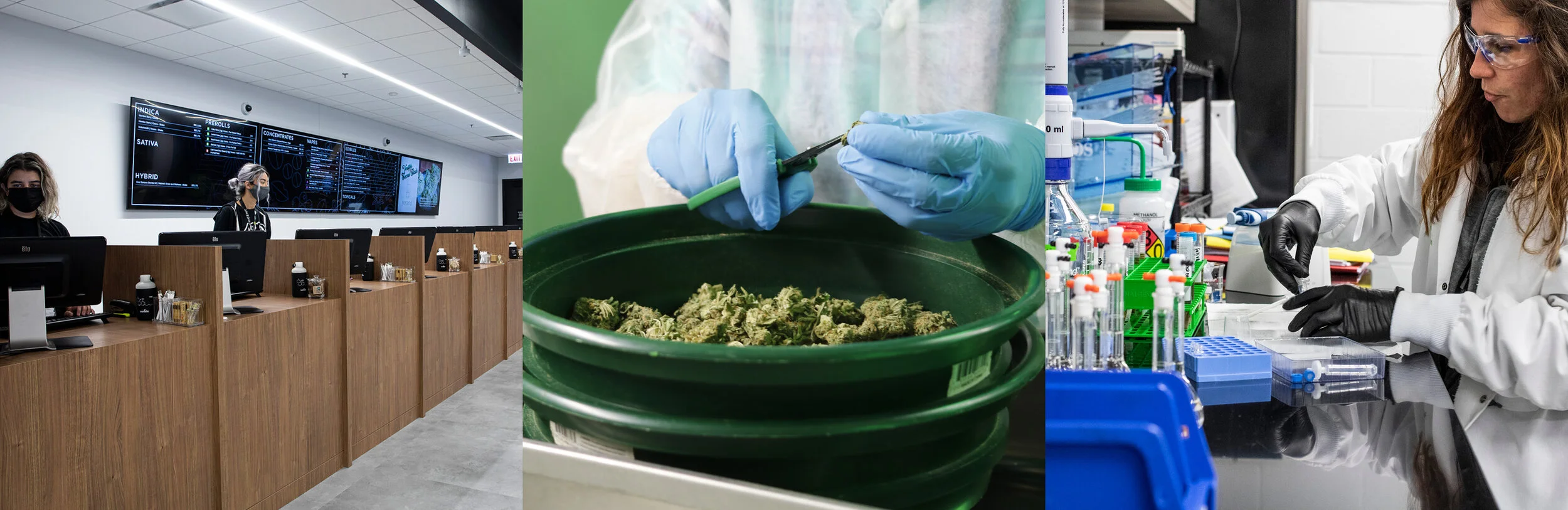 Dispensary Jobs & Cannabis Careers | PharmaCann