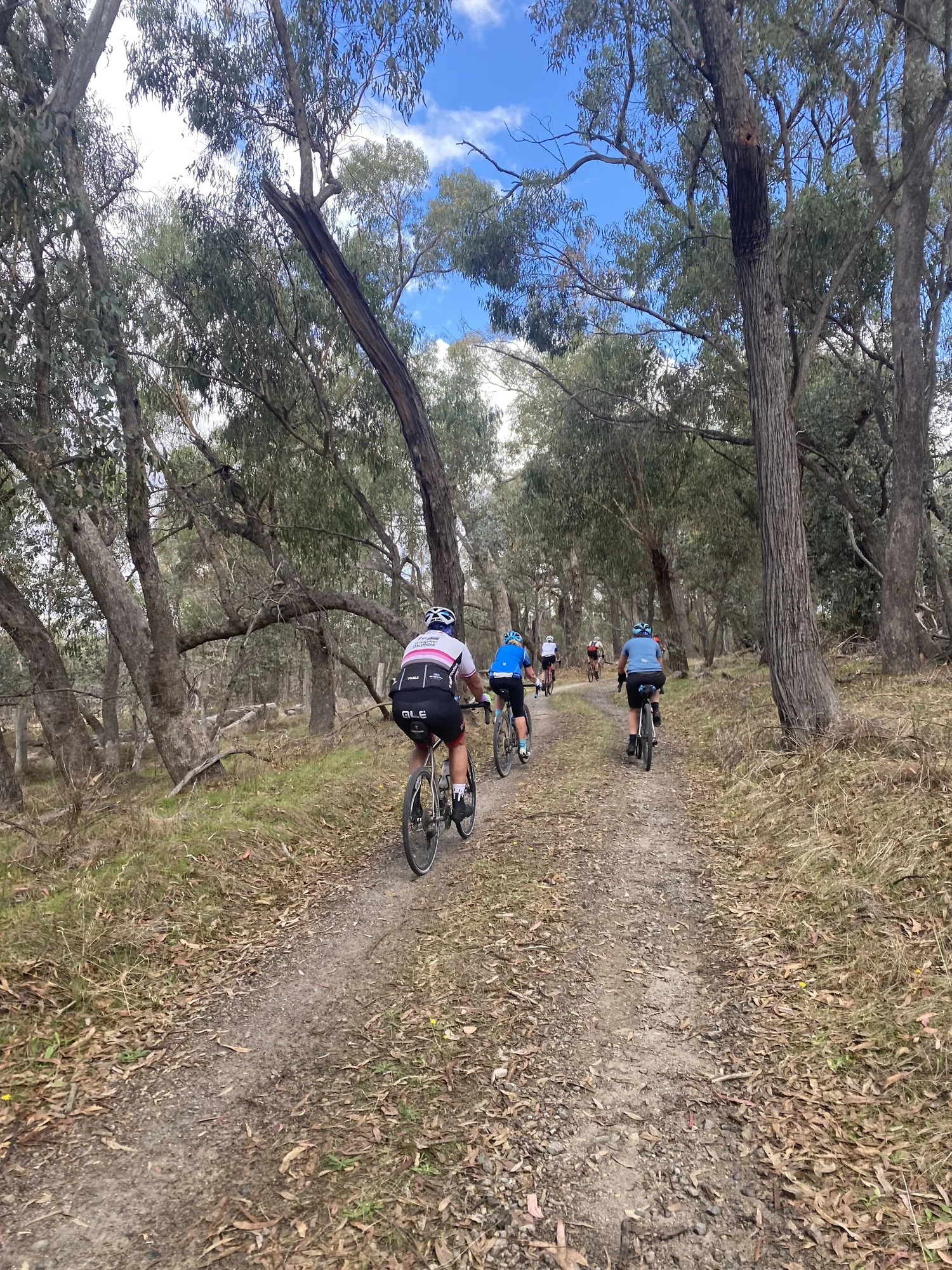 Milawa Beechworth Gravel Tour — Wide Open Road Cycling Tours