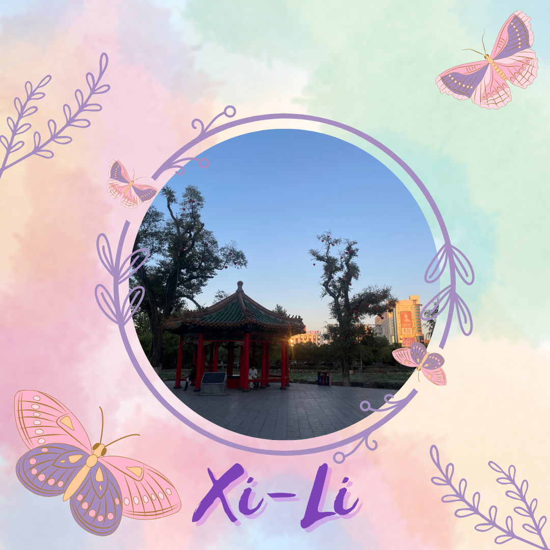 Northeast Asia - Xi~li — International Networx