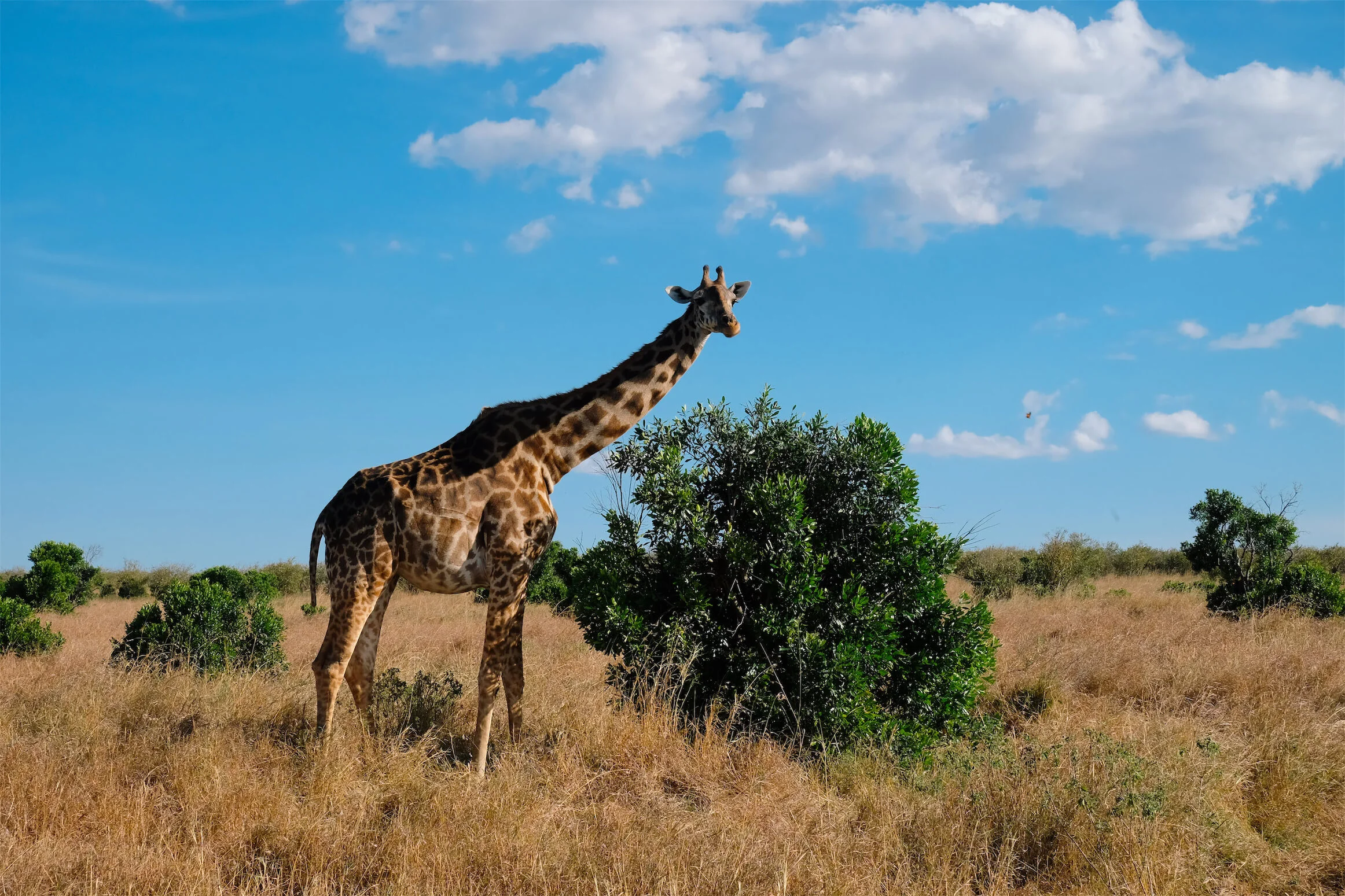10 DAYS IN KENYA — Navager | Your Instrument of Exploration
