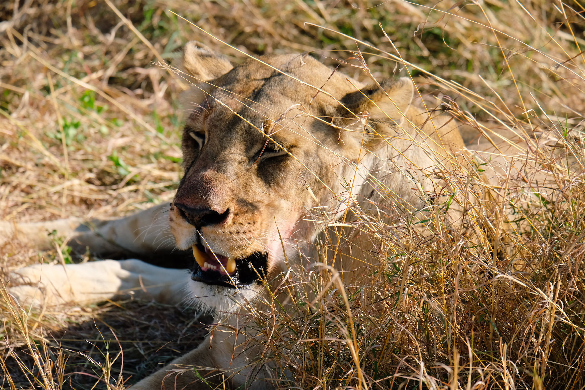 10 DAYS IN KENYA — Navager | Your Instrument of Exploration